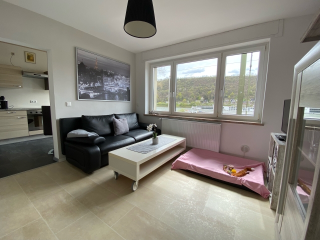 Moderne Ferienwohnung mit direktem Rheinblick, Terrasse u Gartennutzung