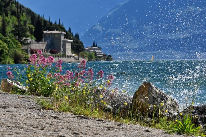 Wohnung mit Seeblick in Casa Mary mit Terrasse, Pool ,eingez Vorgarten
