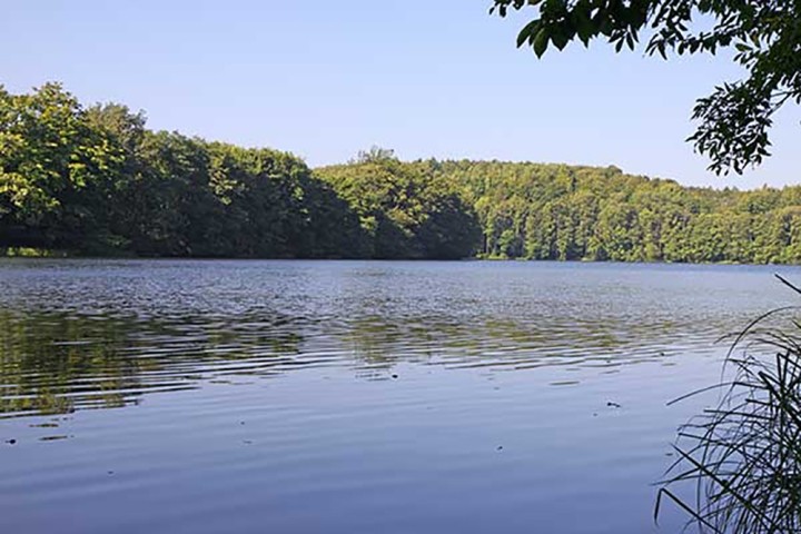 Ferien mit Hund in Ostholstein mit eigenem Seezugang