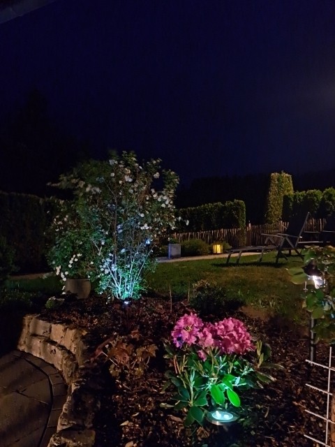 Traumurlaub für Mensch und Hund Hochsauerland, Zaun, WLAN, Grill