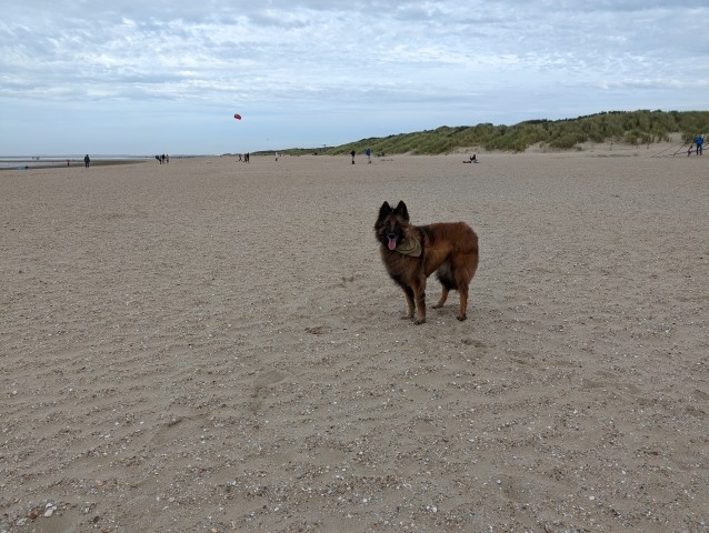 N129x1 Wohlfühlbungalow, komplett eingezäunten Garten am langen Strand