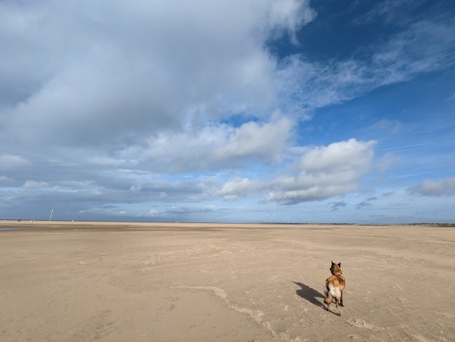N129x1 Wohlfühlbungalow, komplett eingezäunten Garten am langen Strand