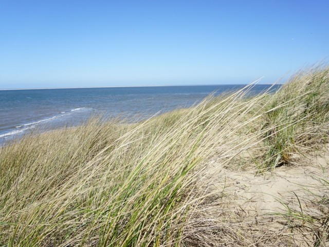 Ferienhaus Nordsee Holland / Niederlande Julianadorp Strand
