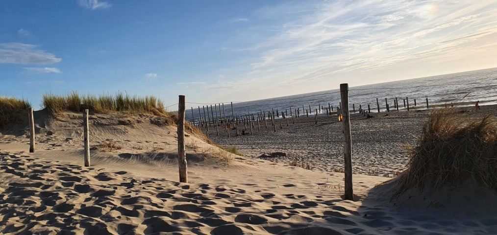 Chalet "Meerverliebt"... 30 Meter zum Meer, mit Blick auf Insel Texel